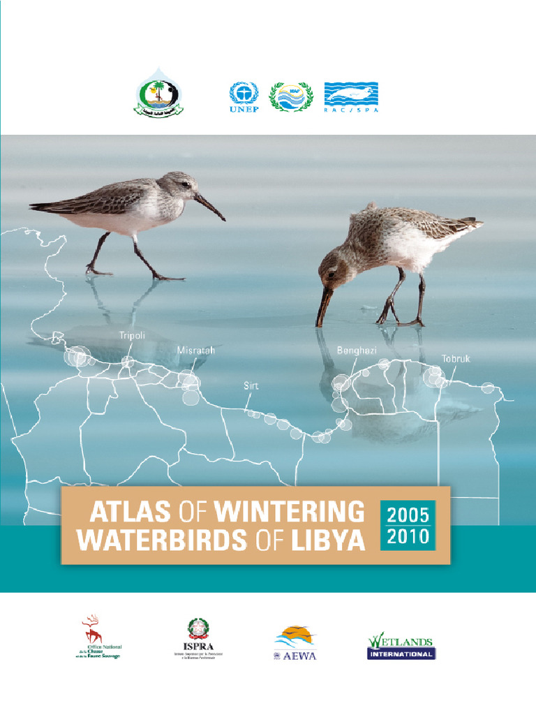 Atlas of Wintering Waterbirds of Libya 2005 2010 | PDF | Wetland | Bird ...