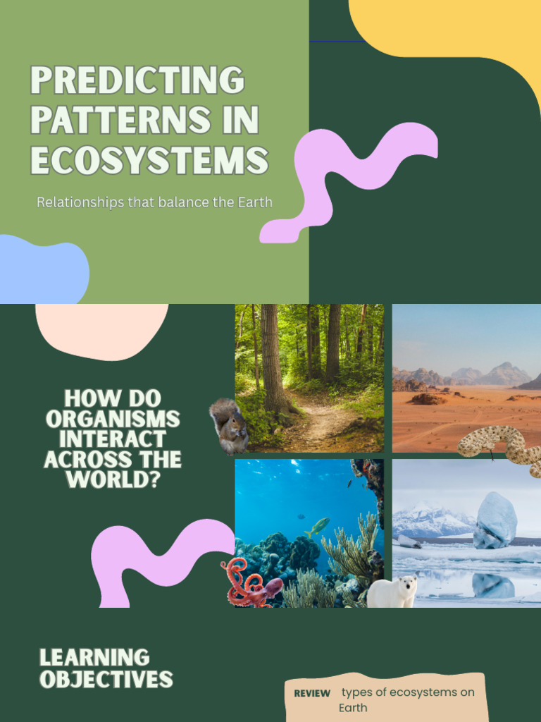 Predicting Patterns in Ecosystems - Ecological Relationships | PDF | Ecosystem | Ecology