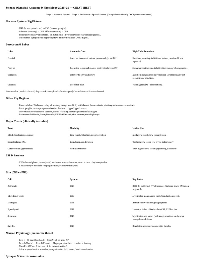 SciOly Anatomy 2025-26 CheatSheet | PDF | Central Nervous System | Hormone