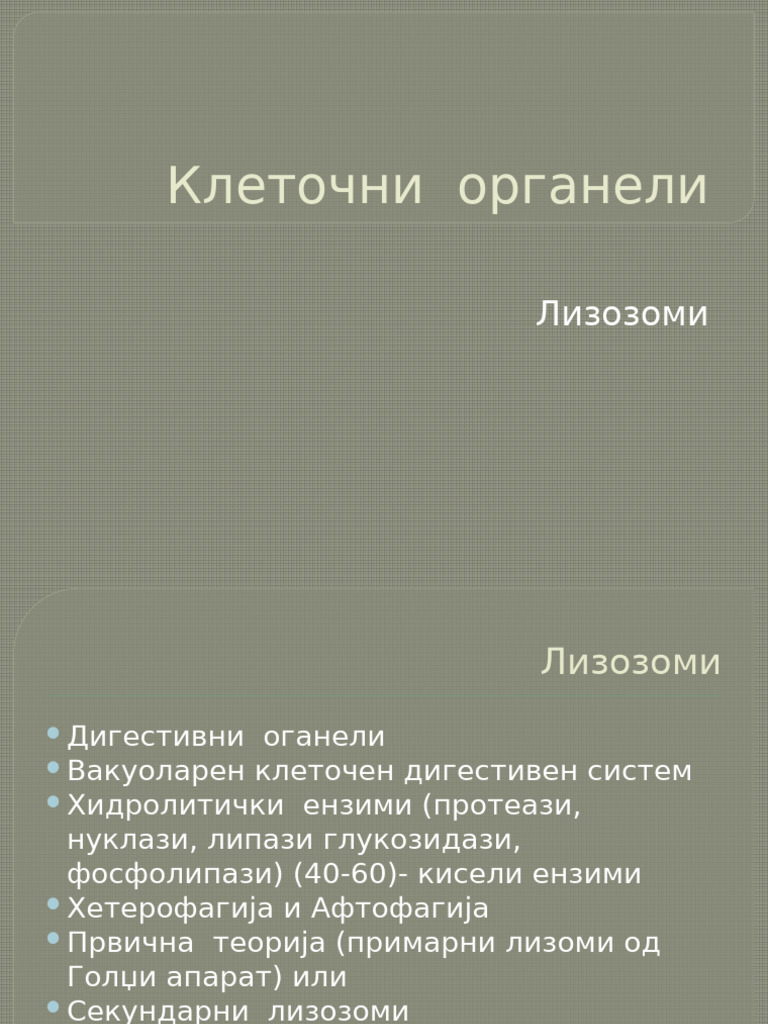 6_Lizozomi | PDF