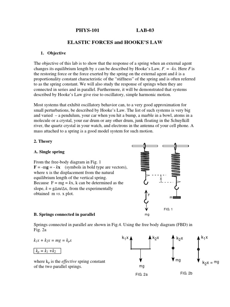 Phys101lab 03 | PDF | Force | Physical Quantities