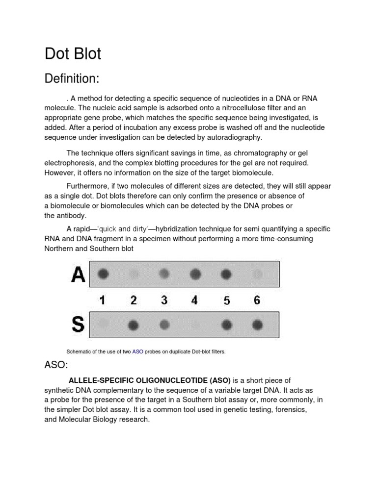 Dot Blot Handout | Download Free PDF | Blot (Biology) | Western Blot