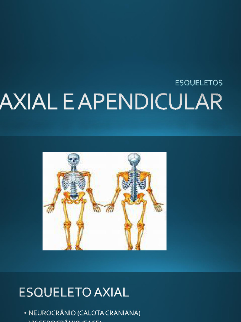 Esqueleto Axial e Apendicular | PDF