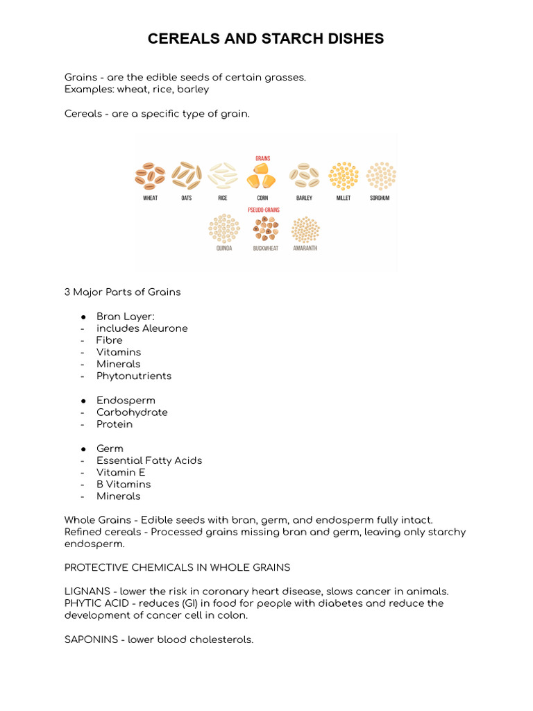 Cereals and Starch Dishes | PDF