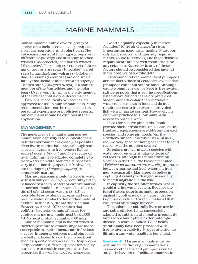 Marine Mammals | PDF | Marine Mammals | Pinniped
