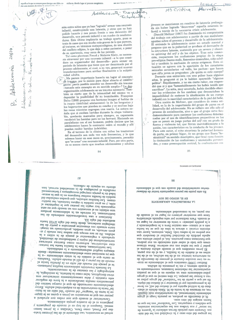 Horstein Adolesc Turbulentas | PDF