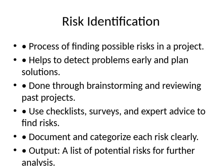 Risk Identification Presentation | PDF