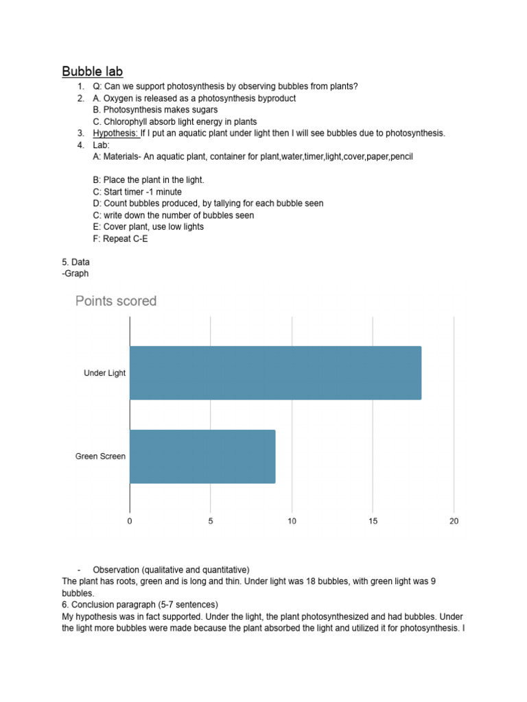 Bubble Lab Cristopher | PDF