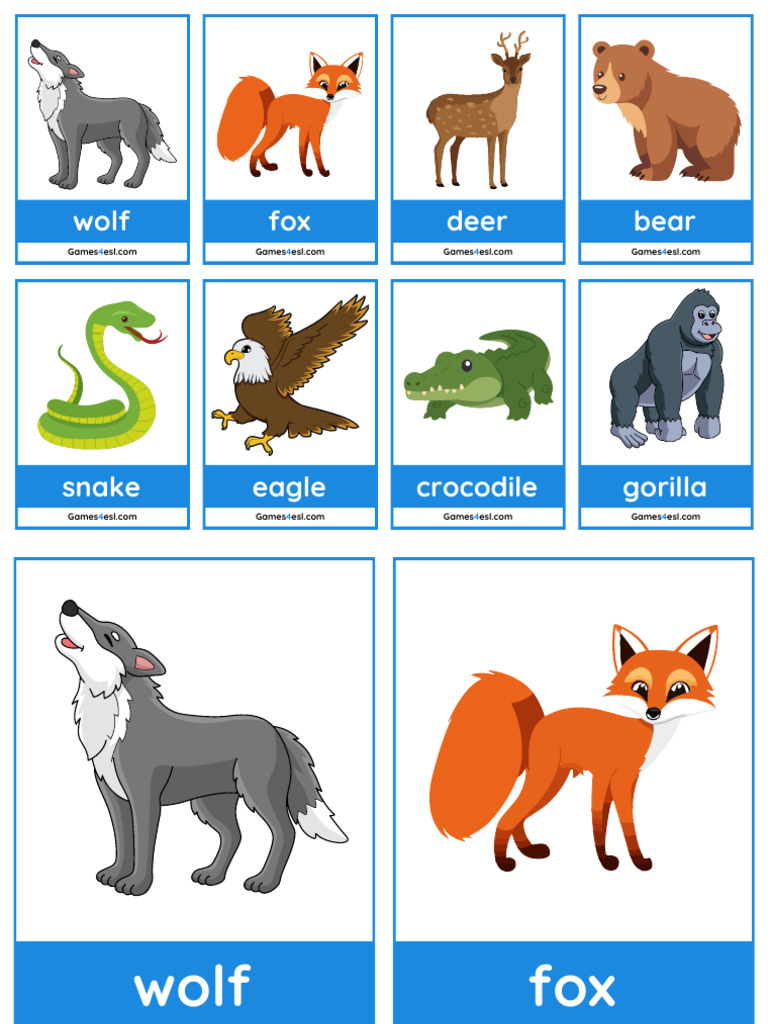 Wild Animal Flashcards For Kids | PDF
