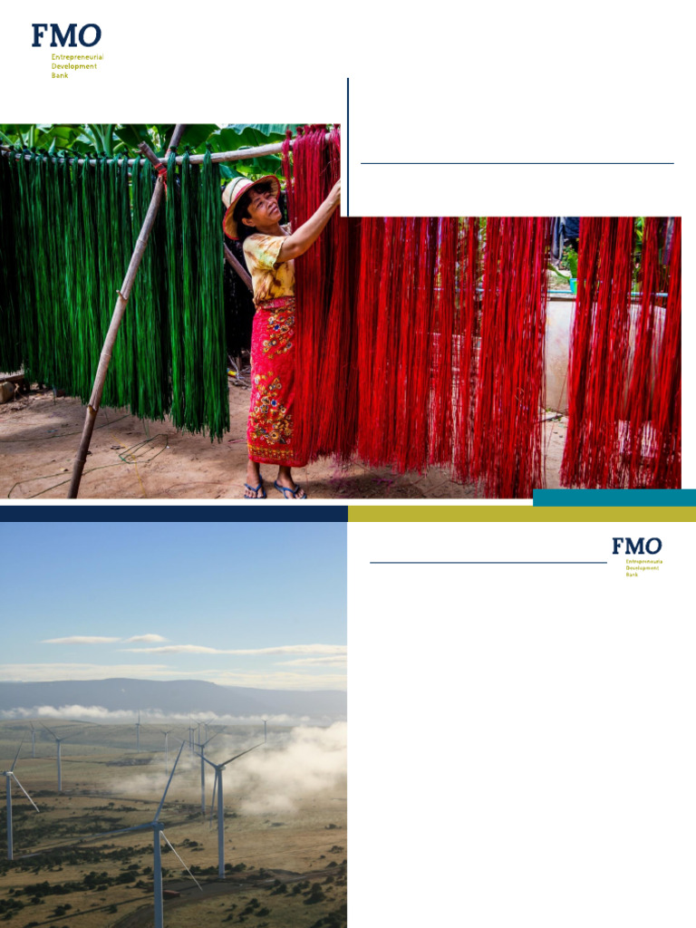 FMO Investor Presentation | PDF | Equity (Finance) | Euro