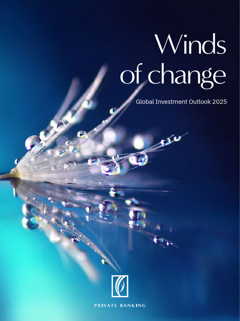 2025 Global Investment Outlook Insights | PDF | Cost Of Living ...