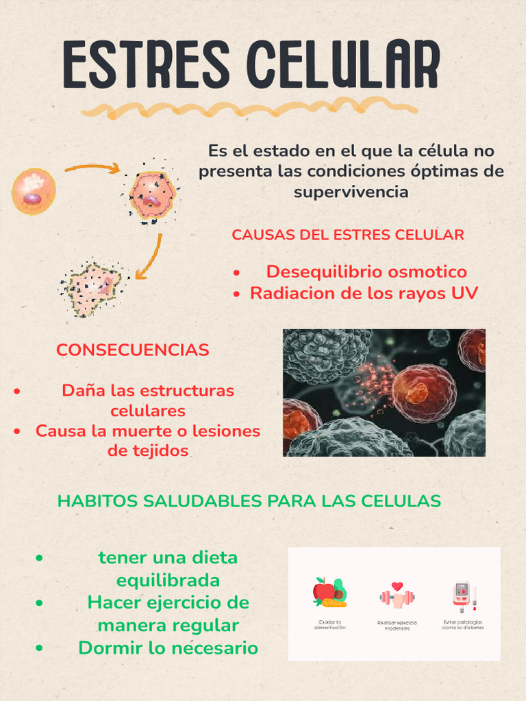 Flyer Volante de Salud Mental Ilustrativo Minimalista Rosa y Morado | PDF