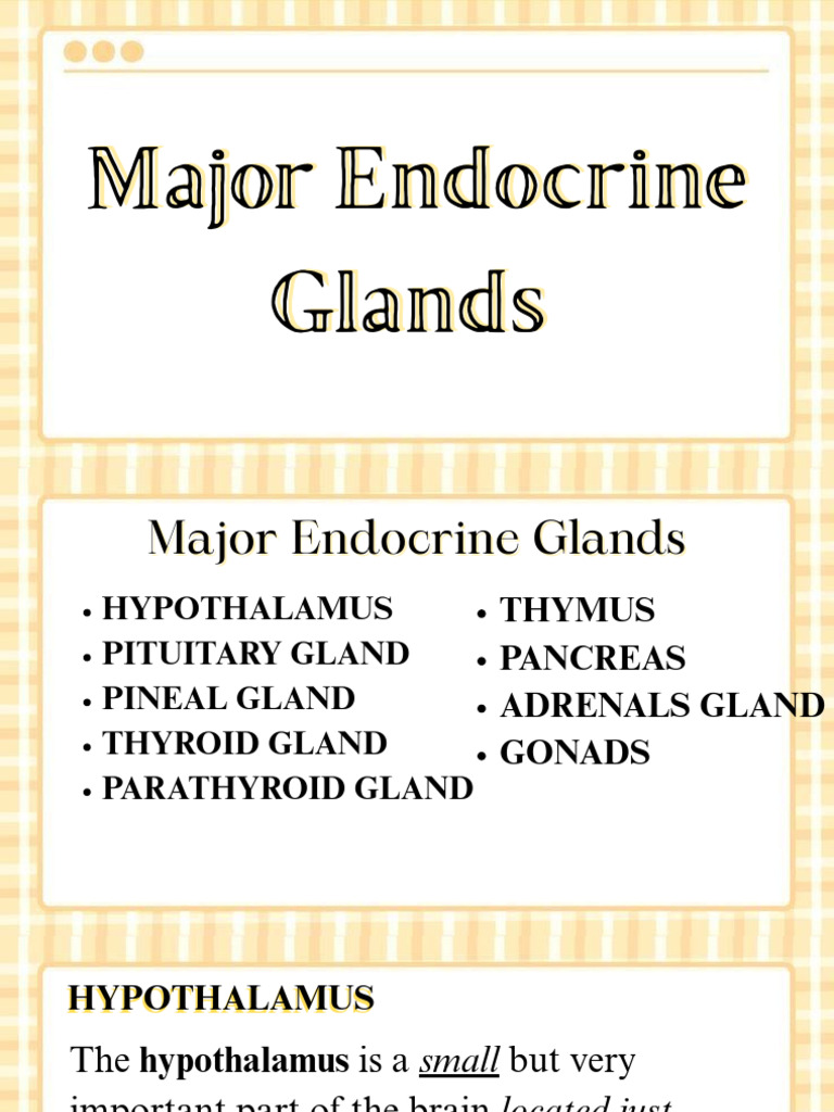 Major-Endocrine-Glands_20251112_202905_0000 (1)_1 | PDF | Adrenal Gland ...