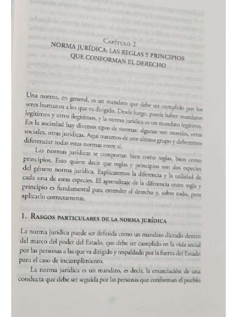 ARCE & RUBIO Las Reglas y Principios | PDF