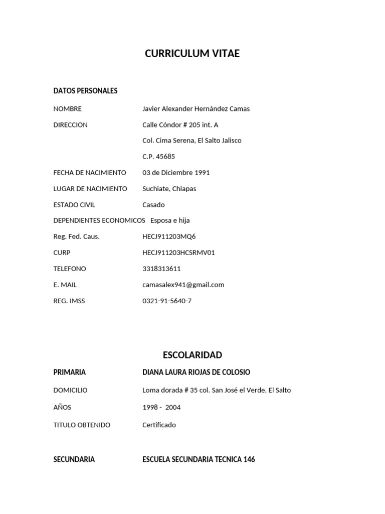 Curriculum Vitae Alexander | PDF