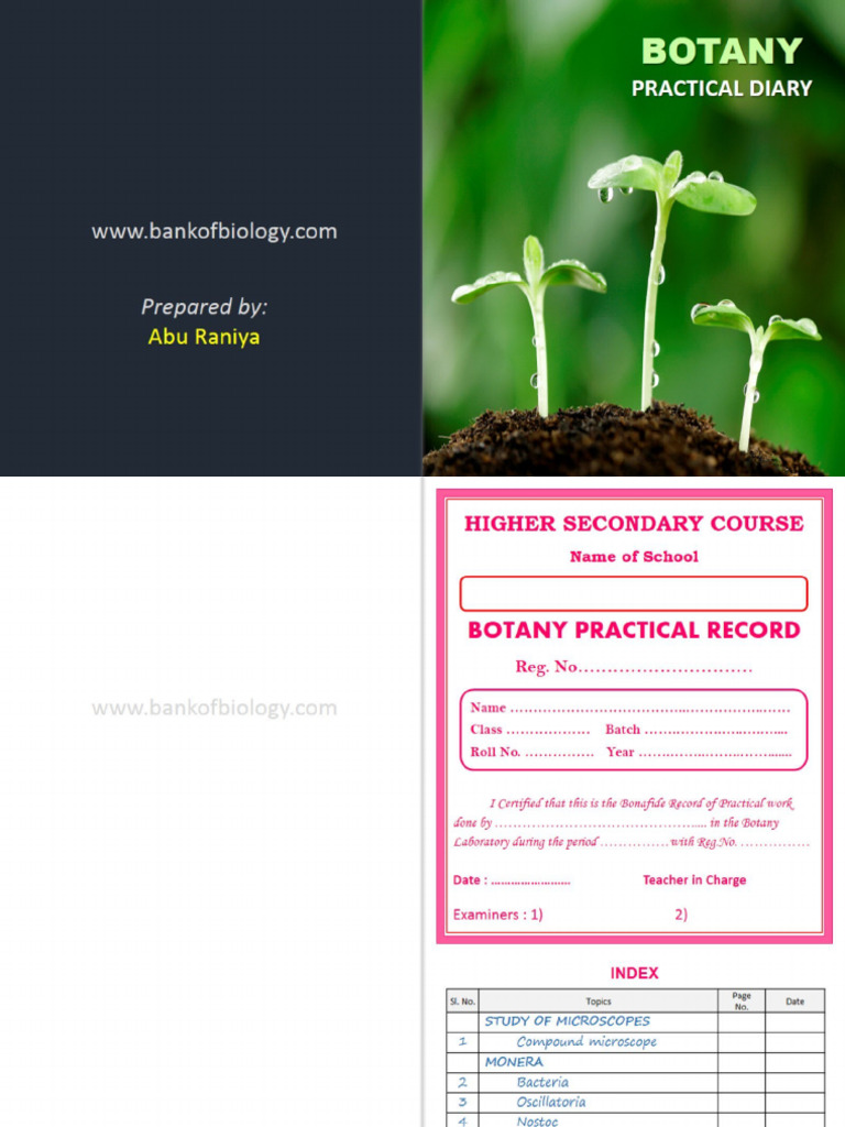 Botany Practical Record Book Publish | PDF