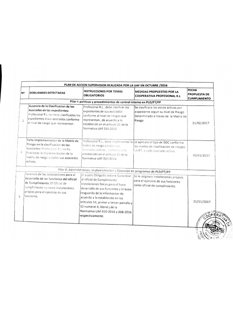 Plan De Accion Pdf
