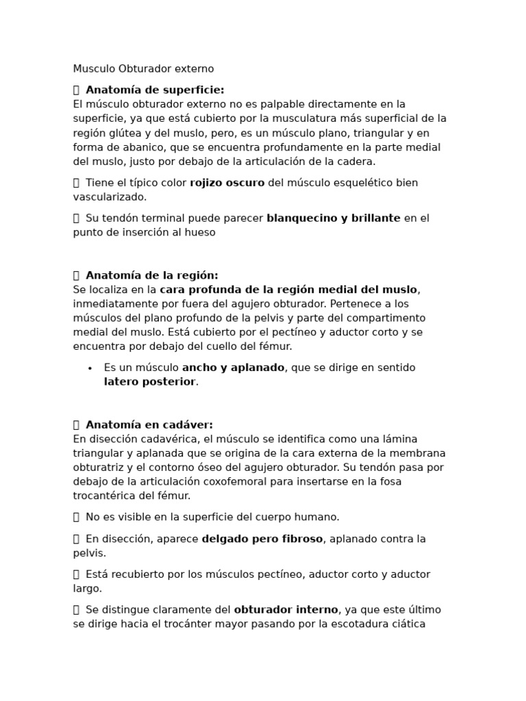 Anatomía y Función del Músculo Obturador Externo | PDF | Anatomía ...