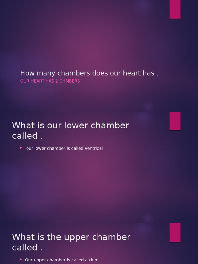 Understanding Heart Chambers and Size | PDF