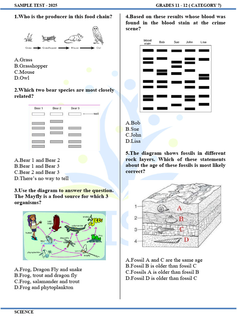 Science Grades 11 12 Category 7 | PDF | Acid | Biomolecules