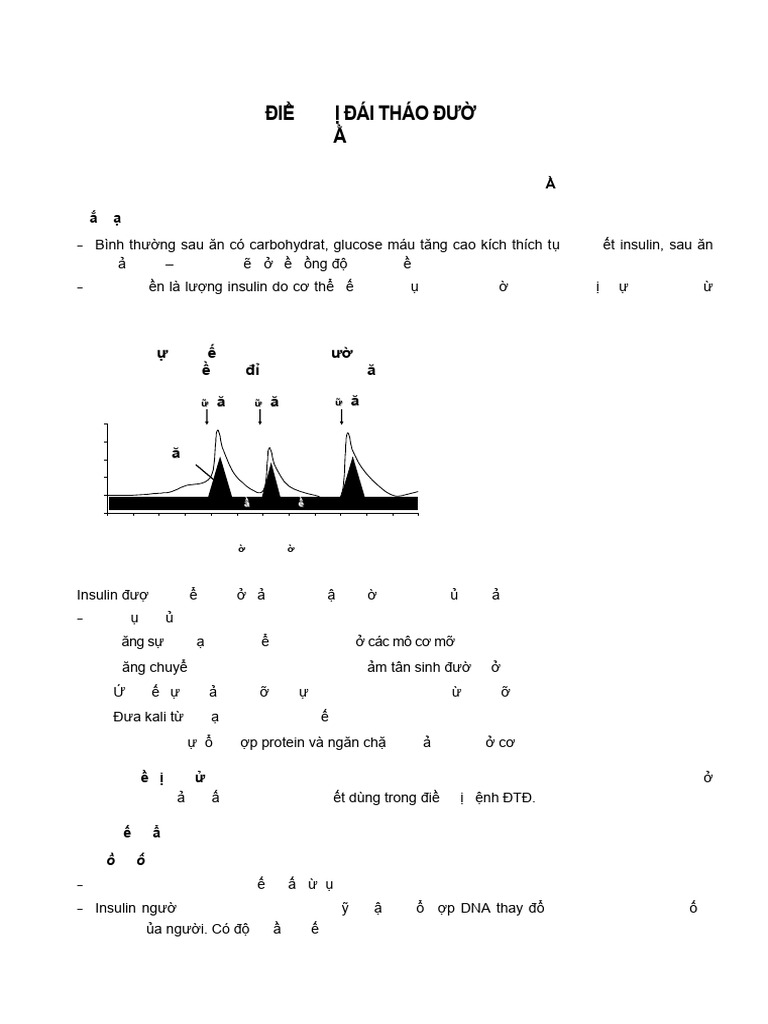 Dieu Tri DTD Bang Insulin | PDF