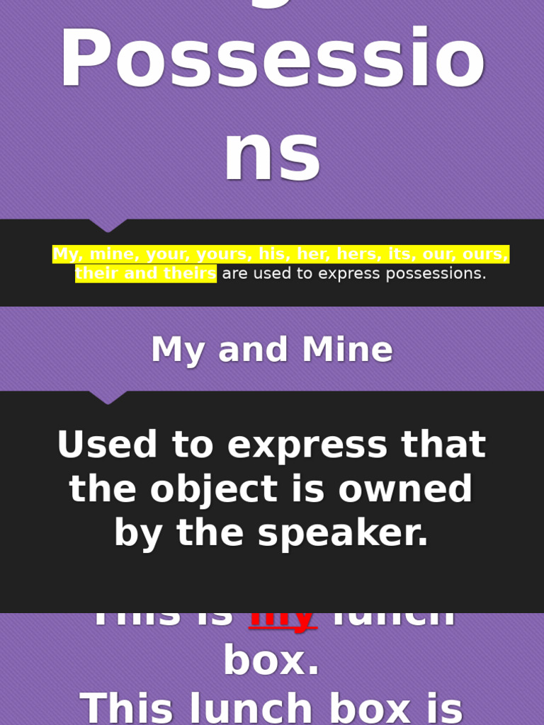 Understanding Possessive Pronouns | PDF