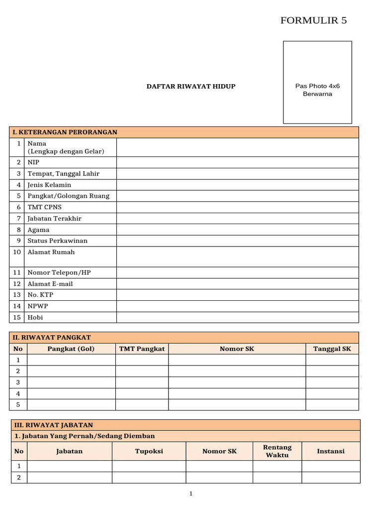 Contoh Daftar Riwayat Hidup Lengkap | PDF