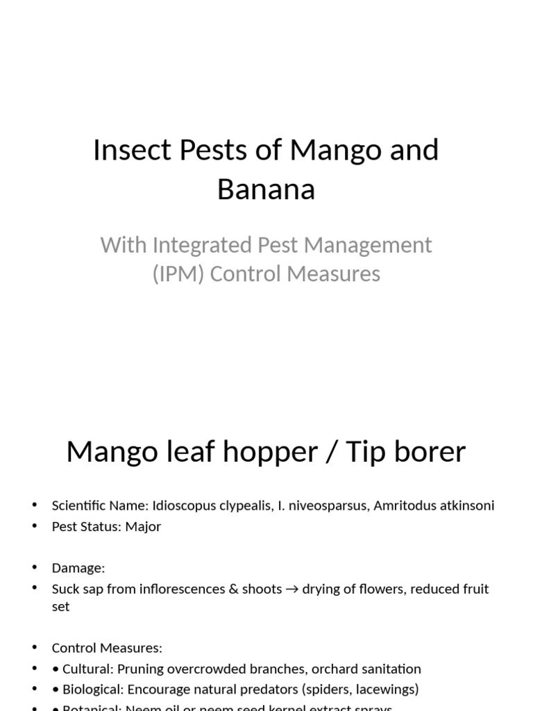 Insect Pests Mango Banana IPM-1 | PDF | Pest (Organism) | Biological ...