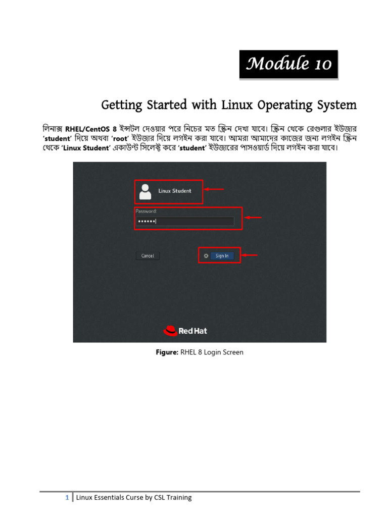 Linux Essentials Basic Commands | PDF