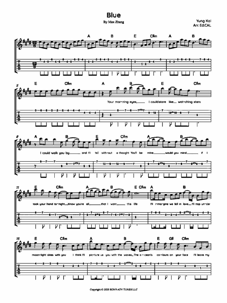 Blue - Converted | PDF