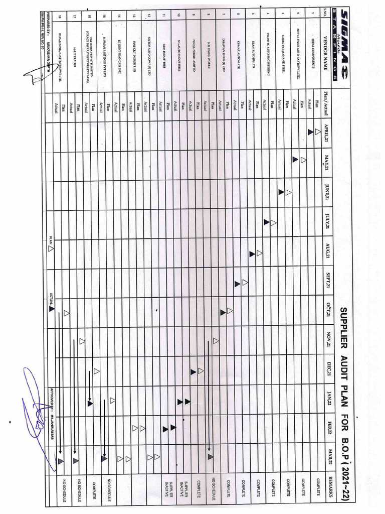 Supplier Audit | PDF