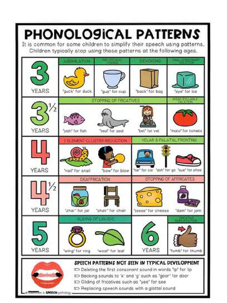 Phonological Processes Chart | PDF