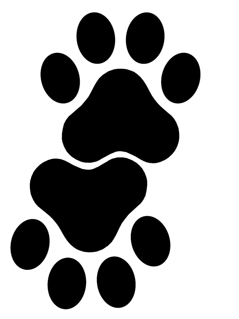 Projekt Bez Nazwy.pdf | PDF