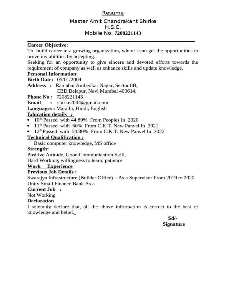 Resume Amit | PDF
