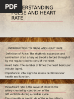 Quincke Sign in Aortic Regurgitation | PDF | Blood Pressure | Pulse
