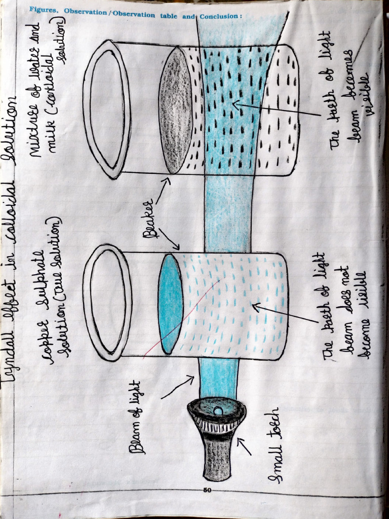 9 SCI Journal 6-7.5 | PDF