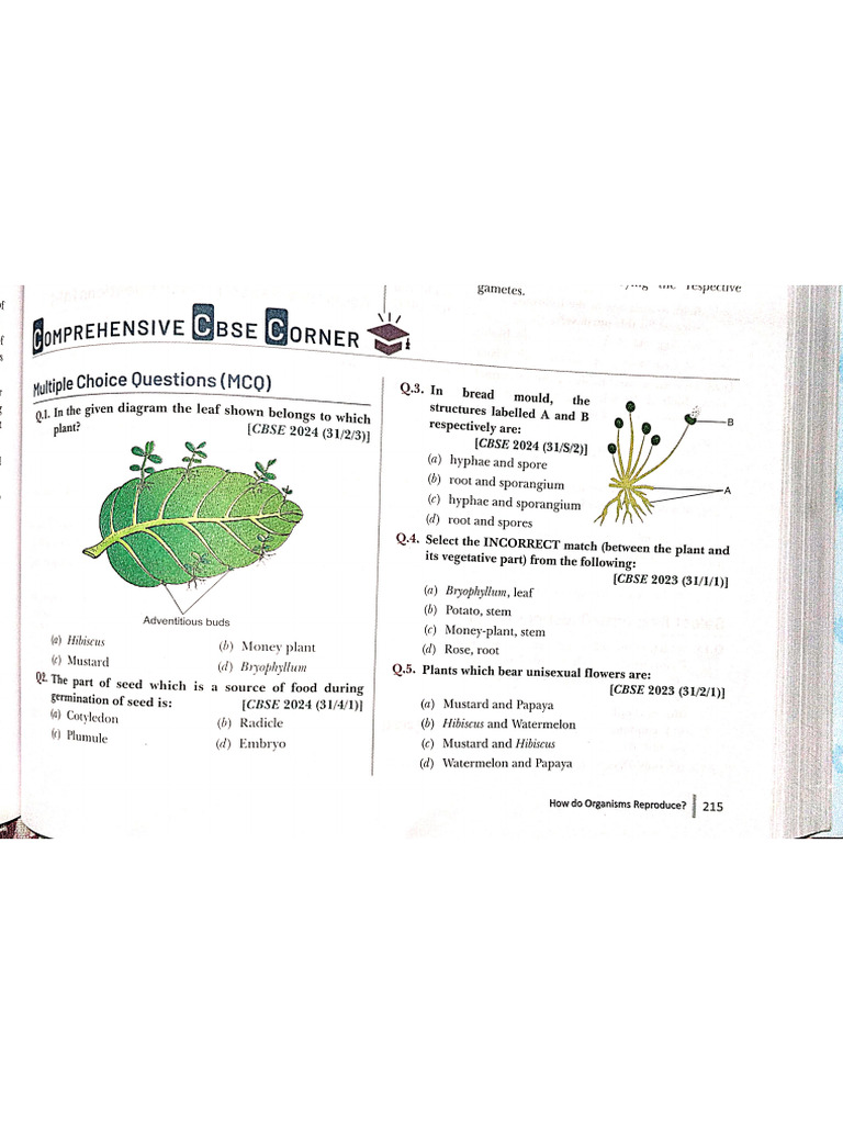 How Do Organism Reproduce | PDF