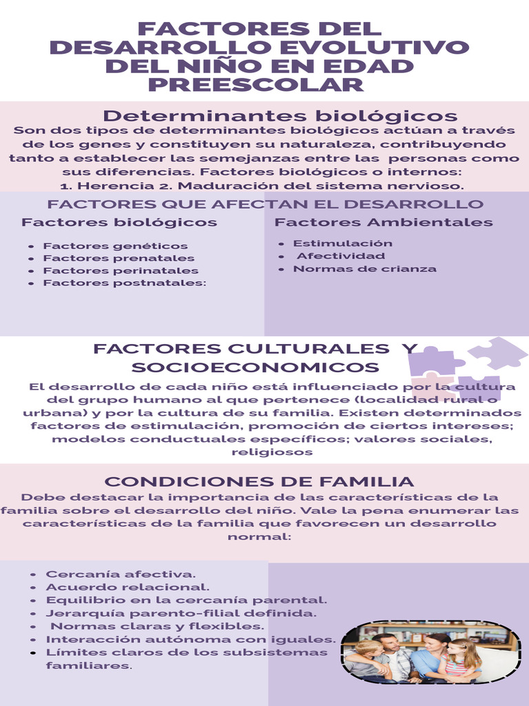 Infografía Factores Del Desarrollo Evolutivo Del Niño en Edad ...