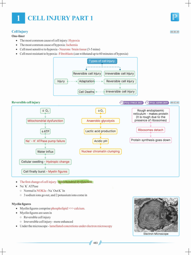 Pathology | PDF