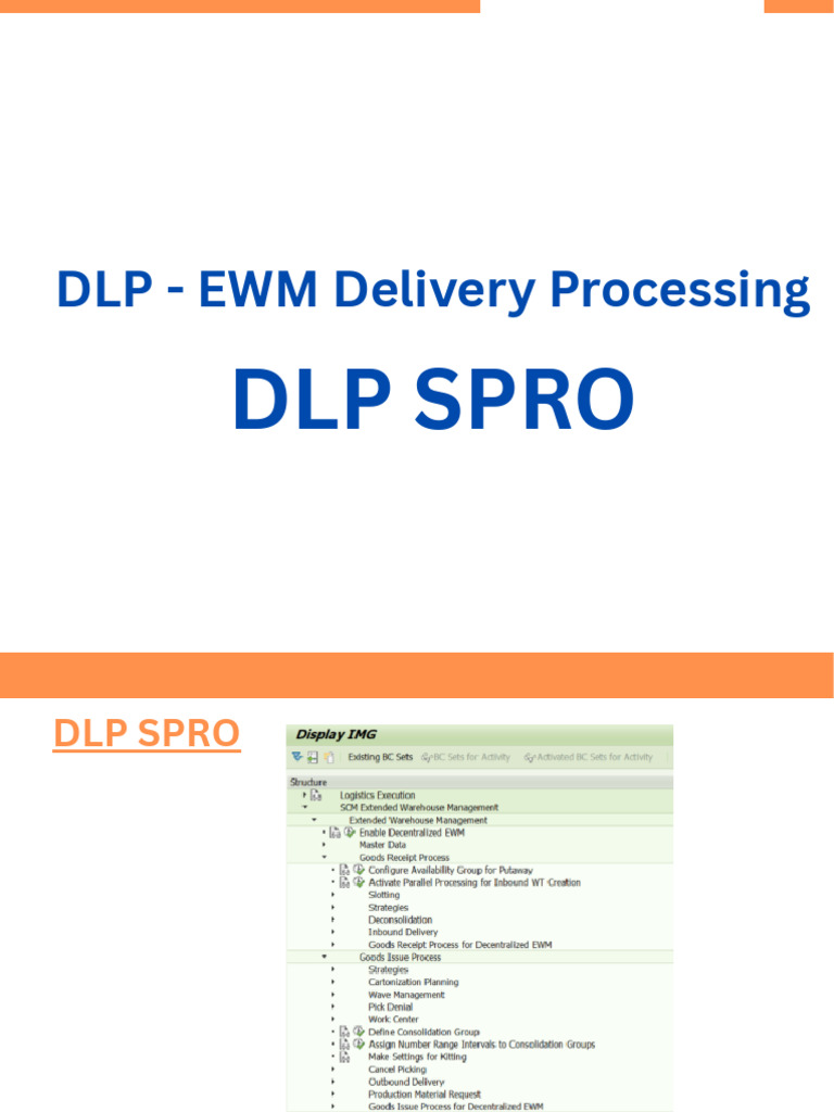 DLP - Ewm Delivery Processing | PDF