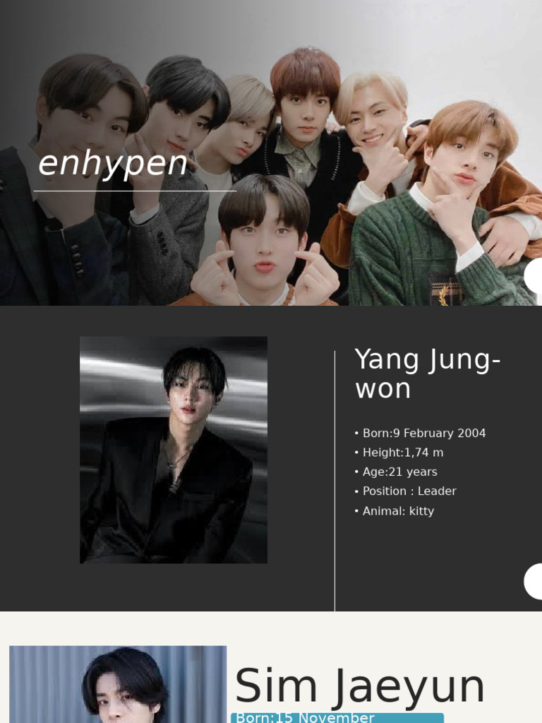 Enhypen Members' Profiles and Details | PDF