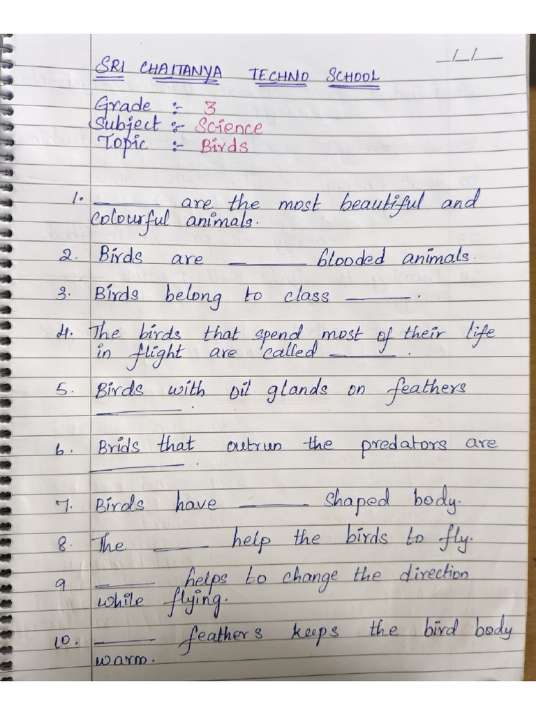 Science Grade 3 LSN 6 Worksheet | PDF