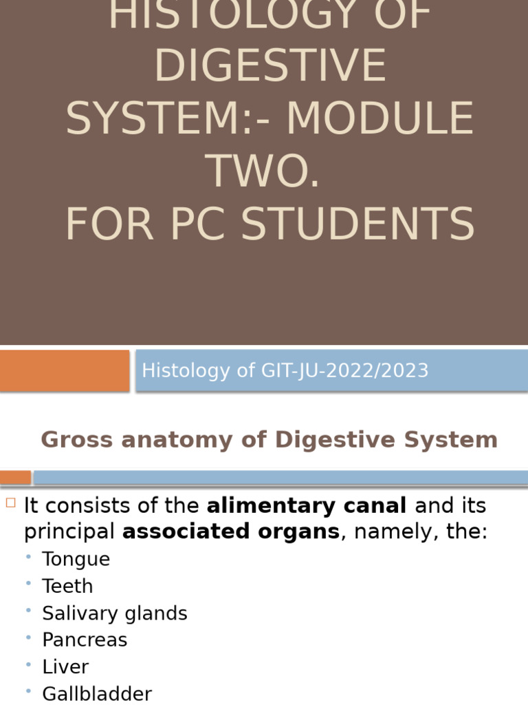 Digestive System Histology Overview | PDF | Human Tooth | Stomach
