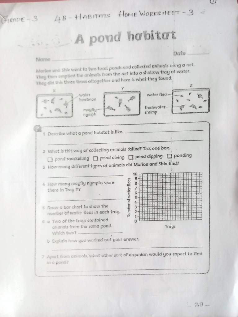 4B Habitats Homework Sheet 3 | PDF | Zoology