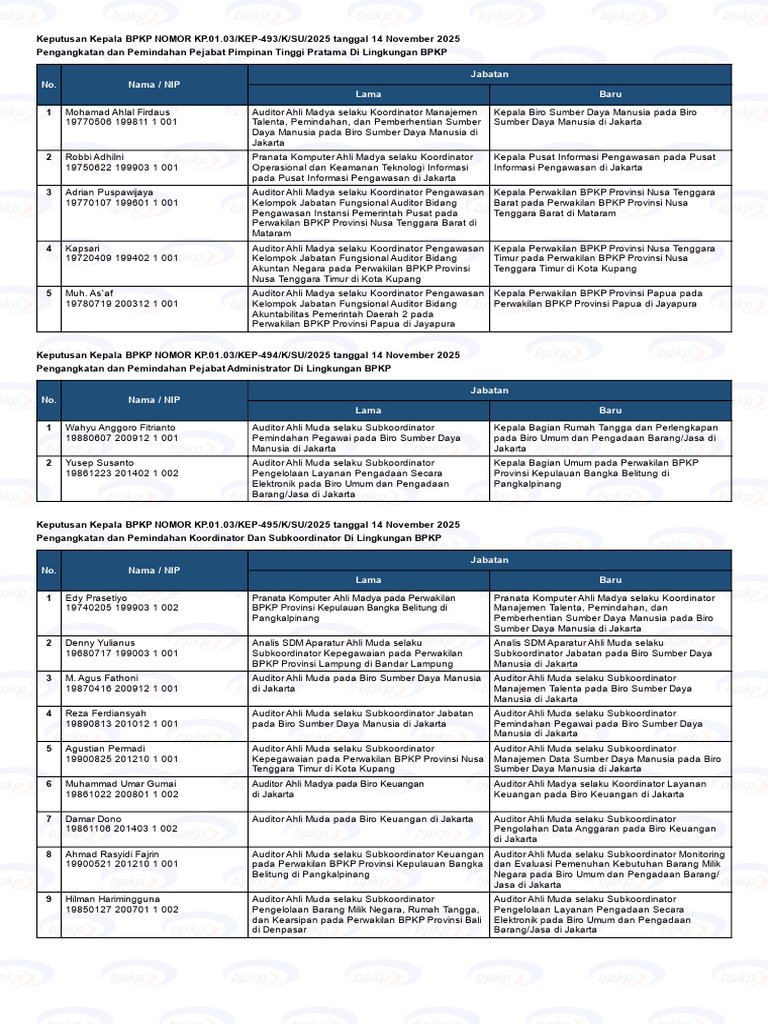 Pengangkatan Pejabat BPKP 2025 | PDF