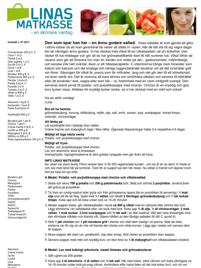 Linas Matkasse B17 2011-02-14 Print | PDF