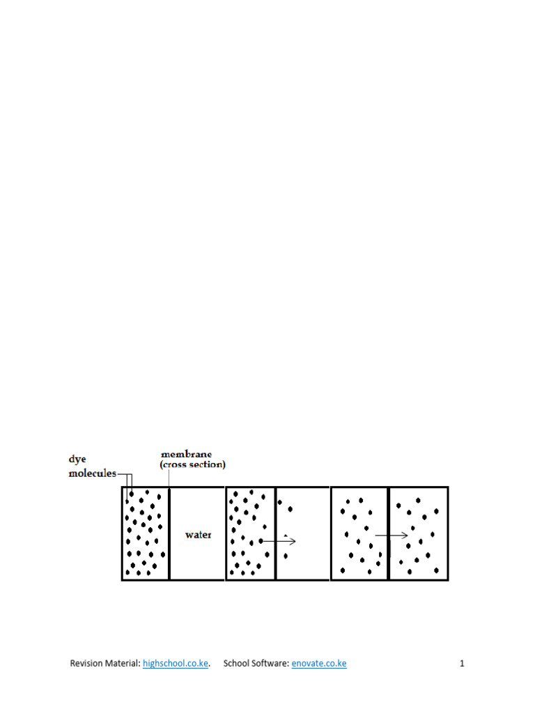 BIOLOGY Form 2 Marking Scheme Achievers Term 2 2023 | PDF | Heart ...