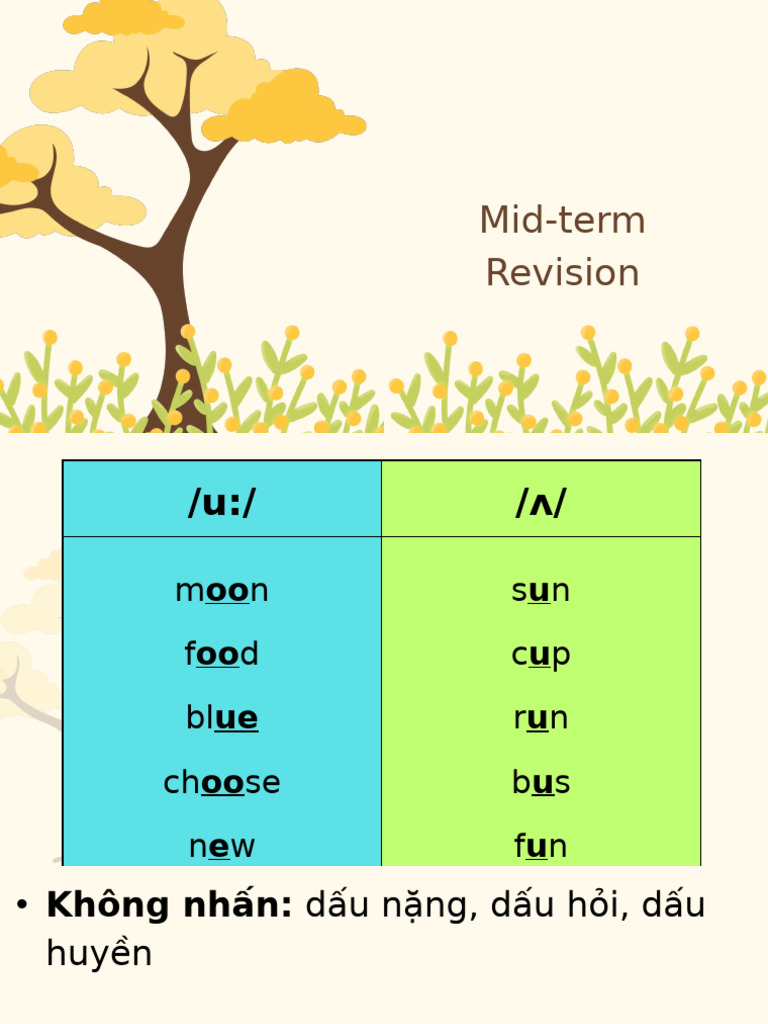 Mid Term Revision | PDF
