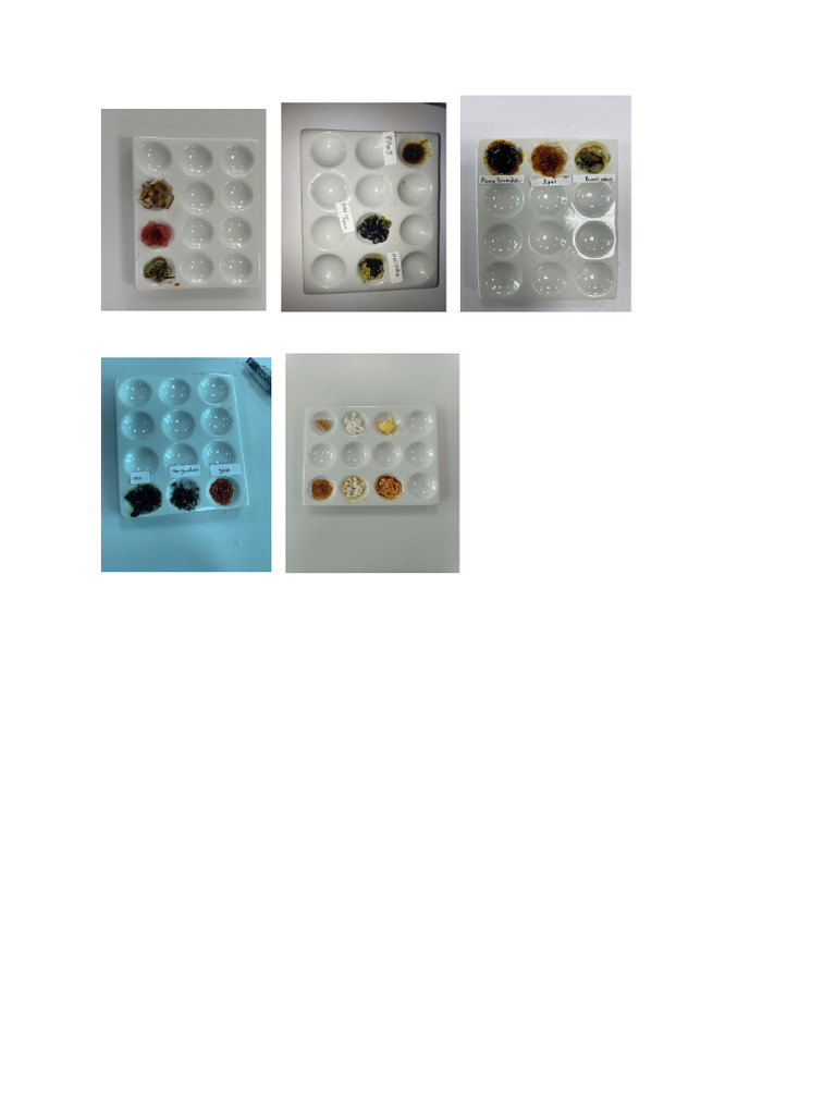 Foto Biokim Laprak | PDF