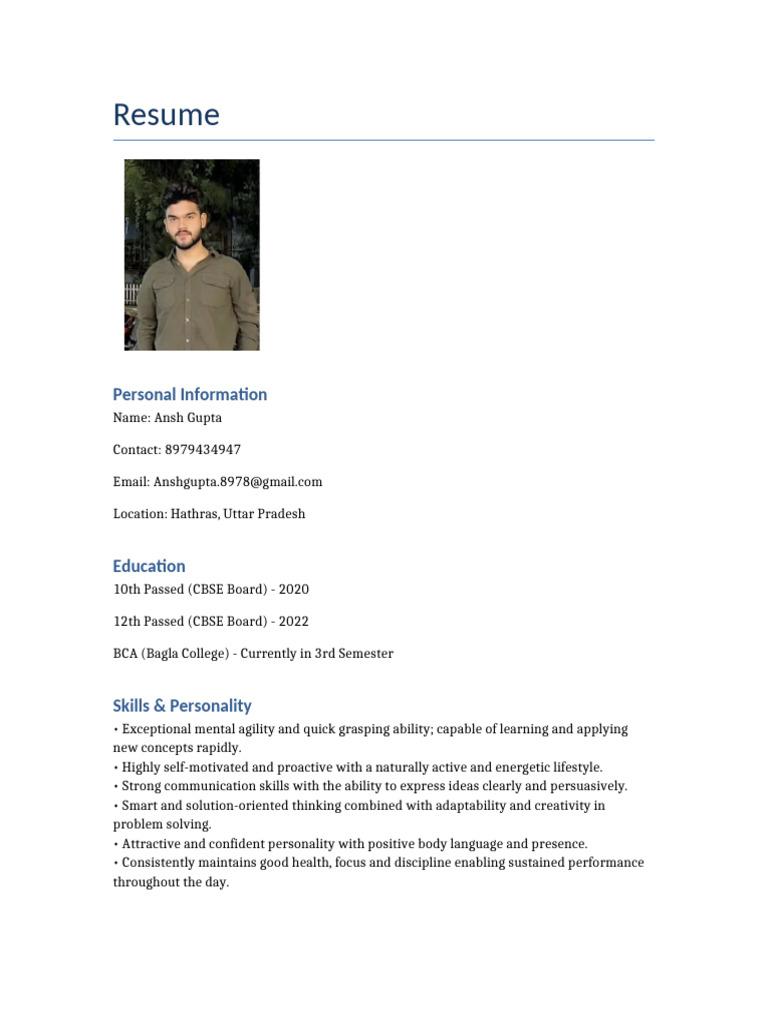 Ansh Gupta's Professional Resume | PDF